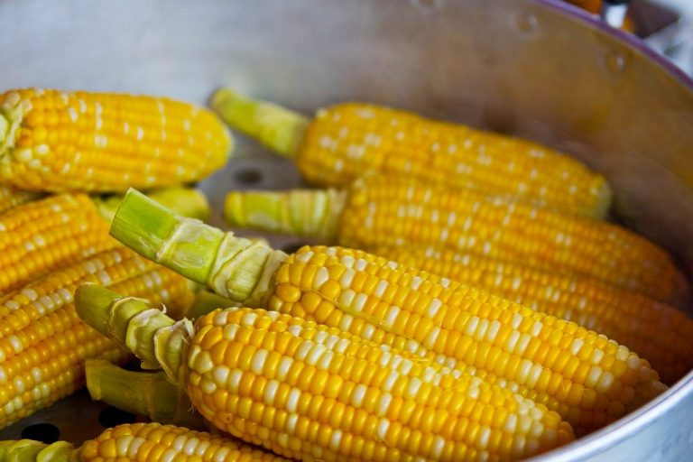 Corn Pudding Vs Corn Casserole Substitute Ninja