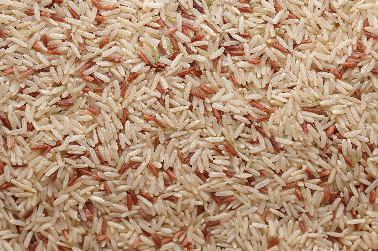 Brown Rice vs Roti: Which One is Better? - Substitute Ninja